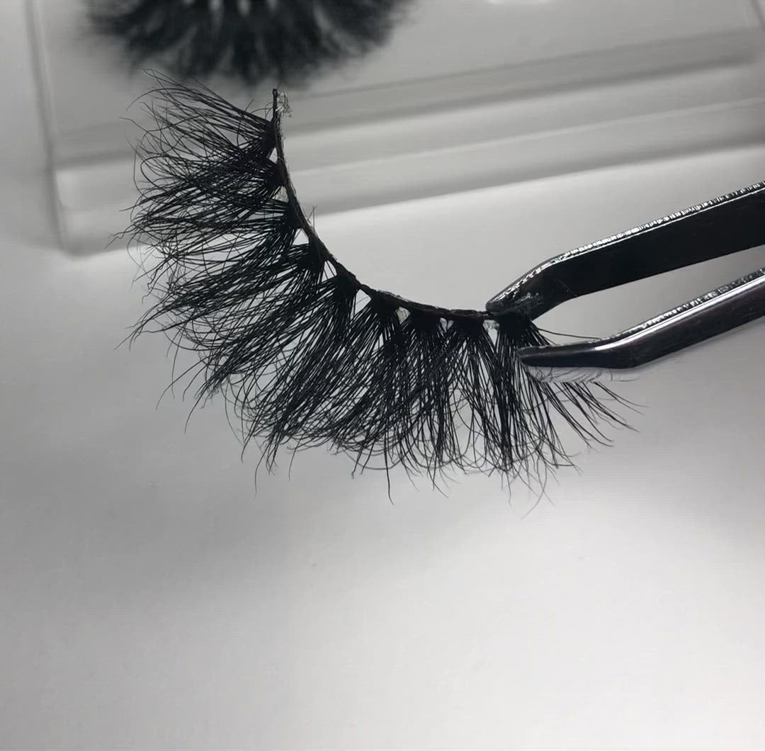 $HOOK – Stella Lashes